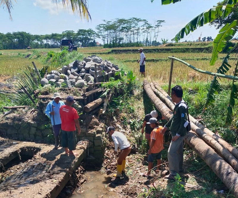 Menopang Transportasi Hasil Bumi Pedesaan Pendes Pangebatan bangun ...