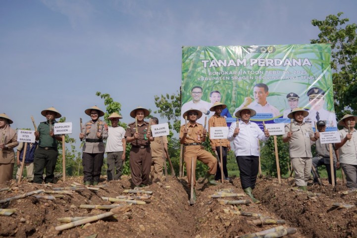 Sragen Jadi Titik Awal Gerakan Nasional Bongkar Ratoon: Pemerintah Pacu ...